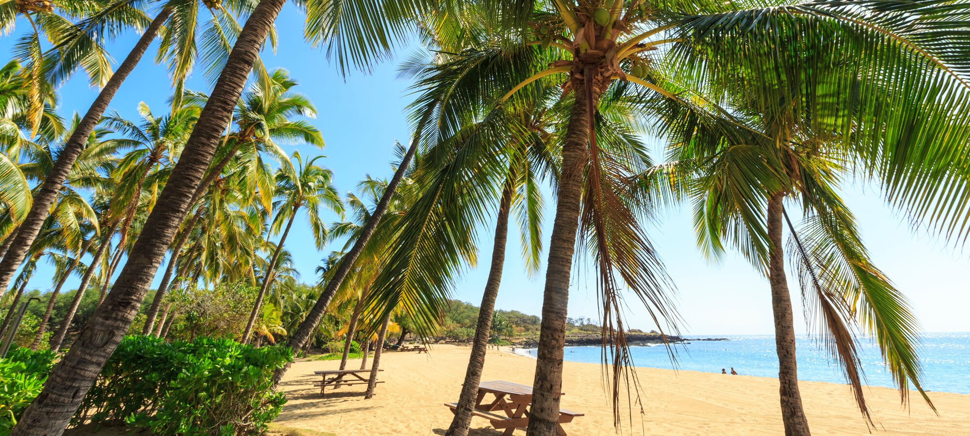 AARP Travel Center: Senior Deals on Hotels, Flights, Vacations & Car ...