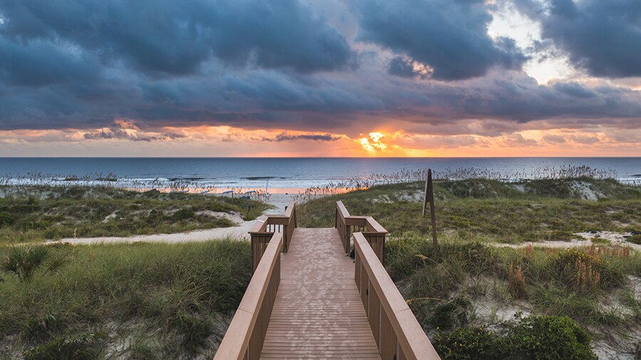 Amelia Island | Expedia